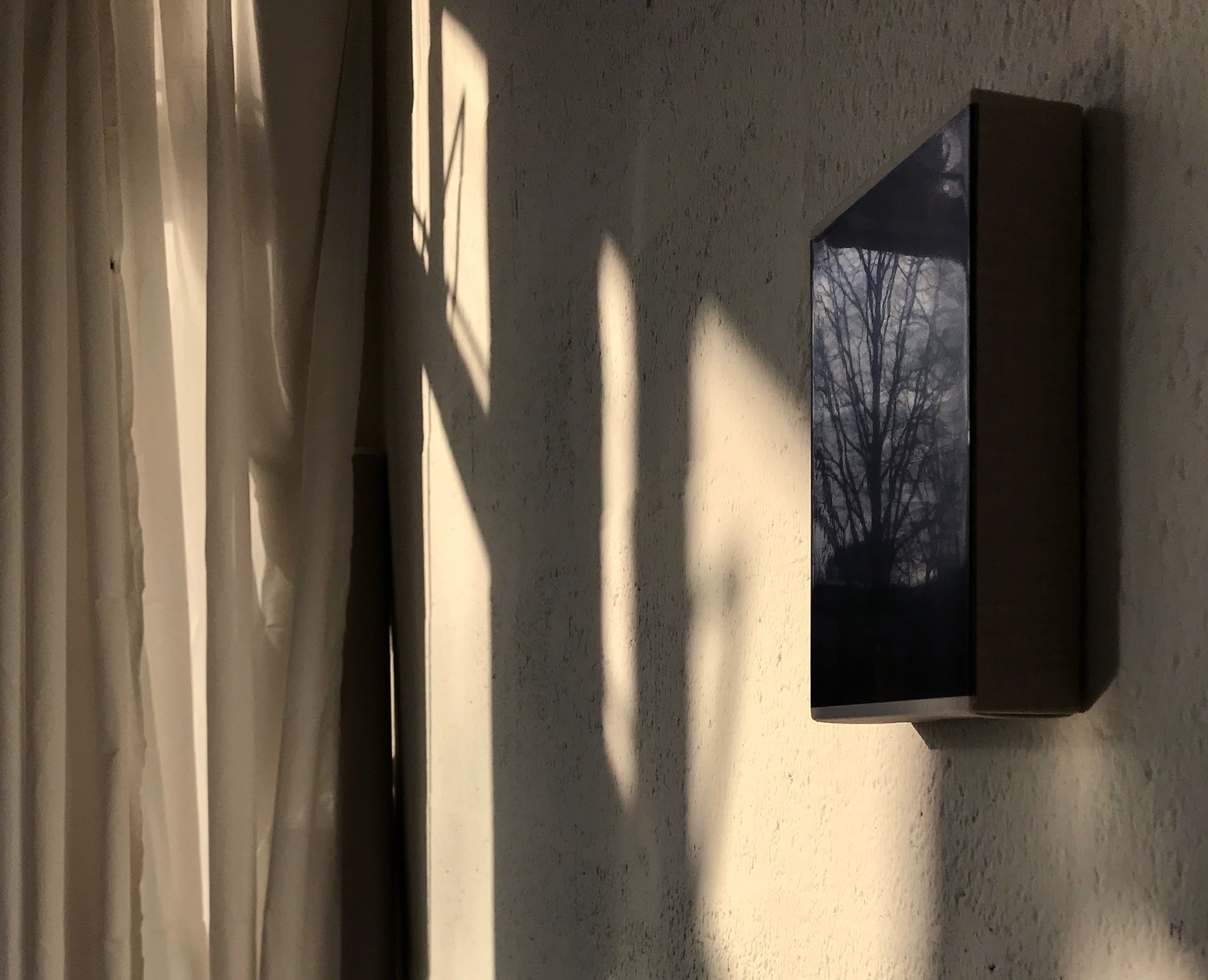 MATTHEW ALLEN – Fox Jensen Gallery